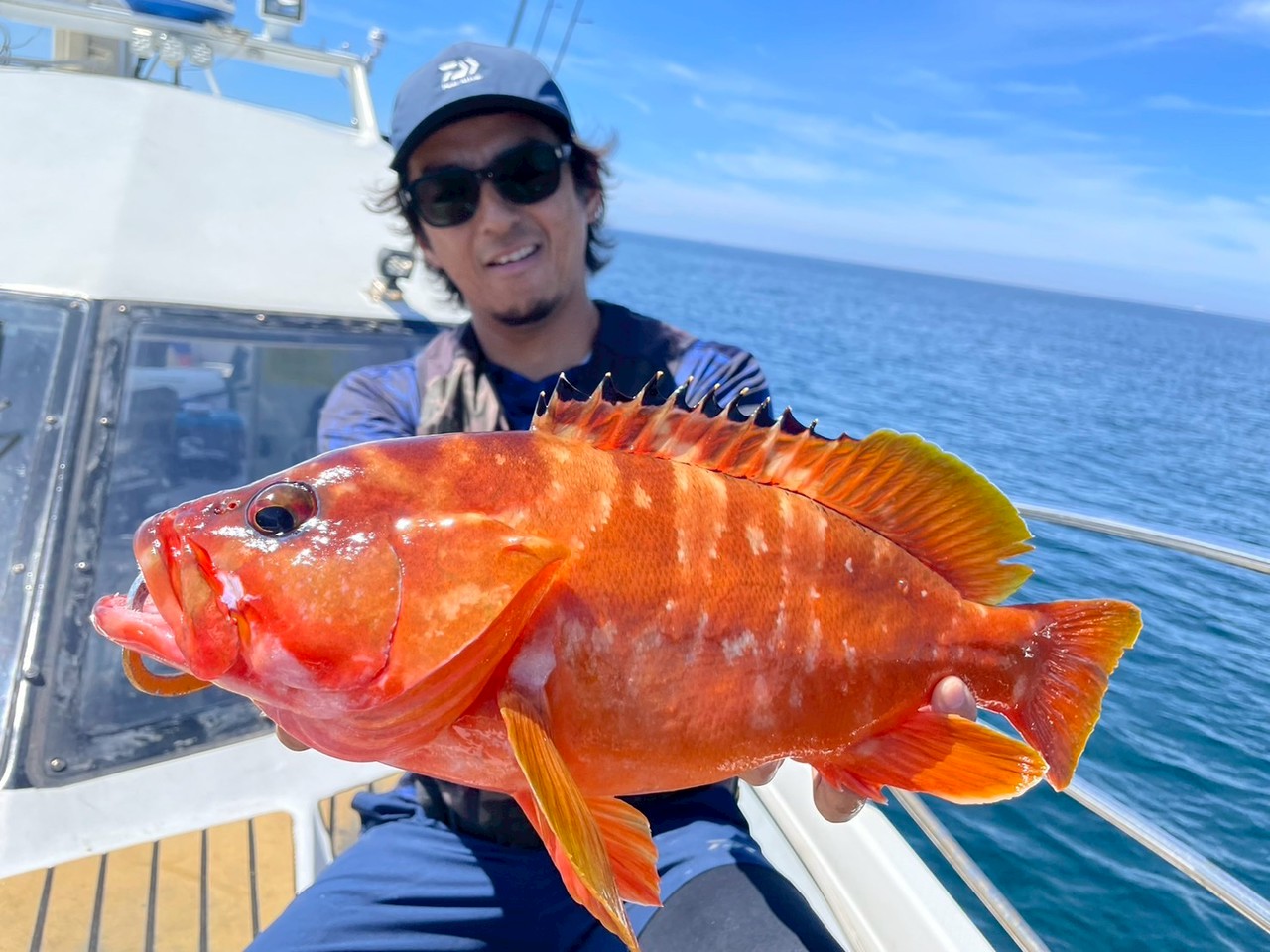 Fishing Cats 開業日のお知らせ（2025/7/12～） | 長崎遊漁船 Fishing Cats（フィッシングキャッツ）｜ヒラスズキ・SLJ・キャスティング